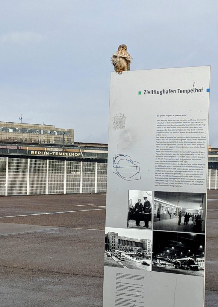 How to Find Traces of the Roaring 1920s in Berlin ⋆