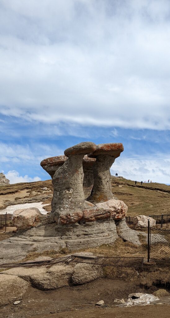 The Ultimate Guide to the Best Things to Do in Busteni, Romania ⋆