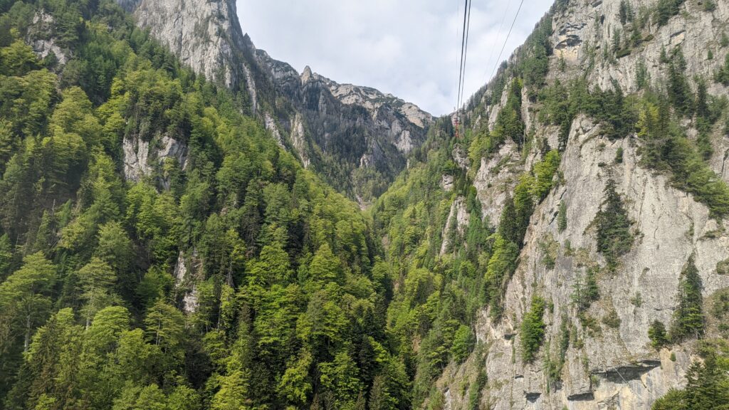 The Ultimate Guide to the Best Things to Do in Busteni, Romania ⋆
