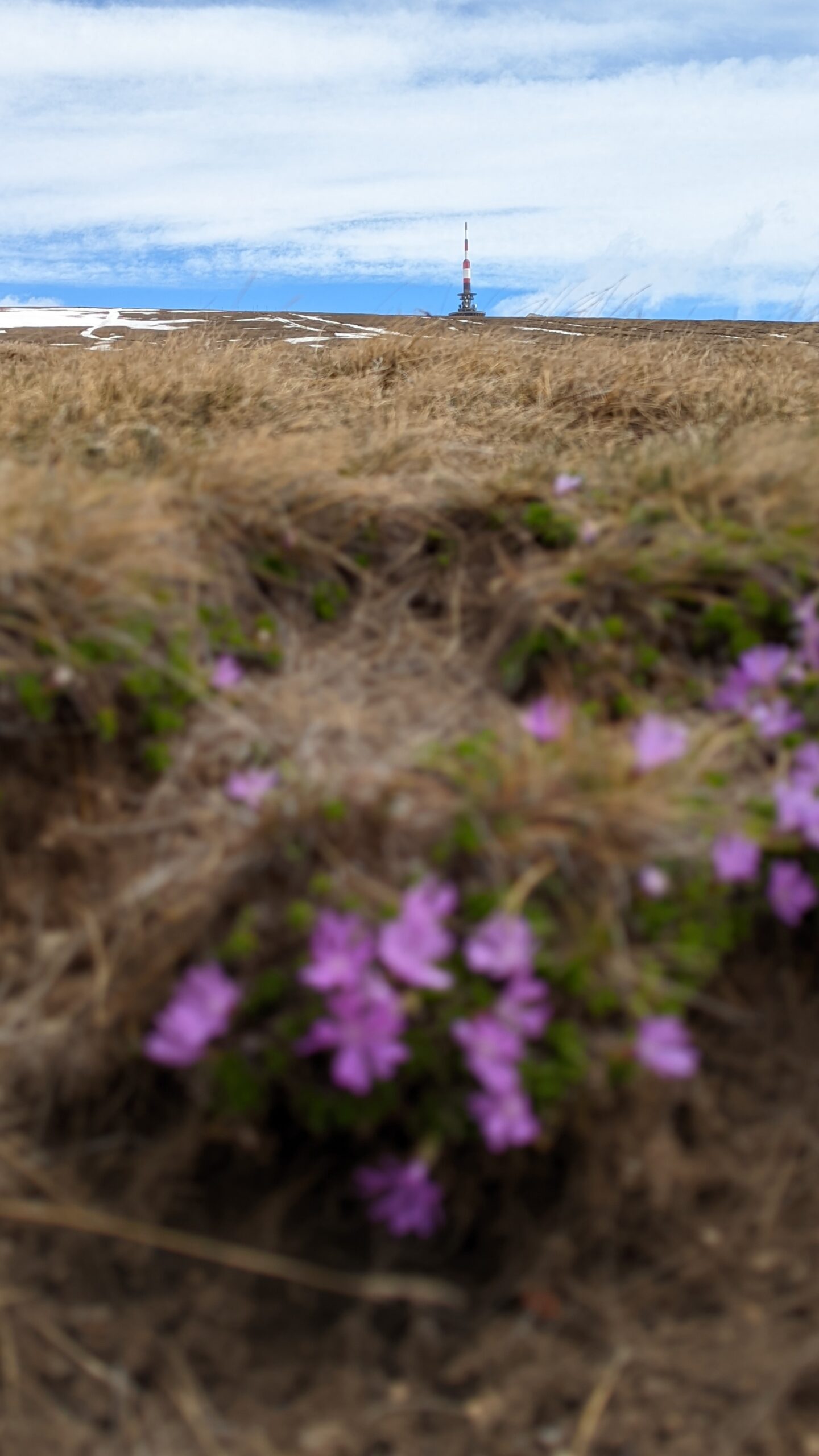How to Find the Best Hiking Near Bucharest ⋆