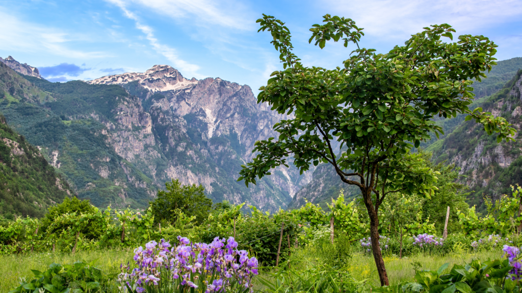 How to Explore the Incredible Hiking in Albania ⋆ The Balkans and Beyond